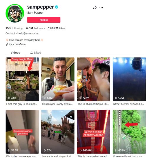 Sam Pepper Kick Streamer » YouTube & Pranks jetzt Casino!
